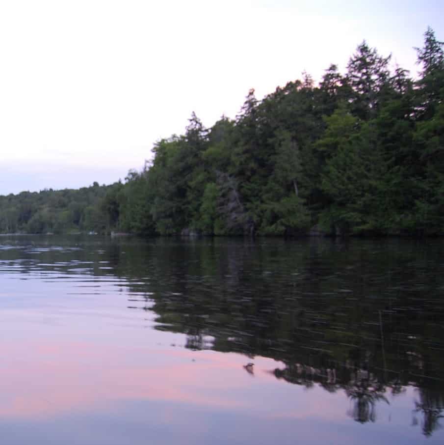 La rivière - Ottawa Riverkeeper | Garde-rivière des Outaouais