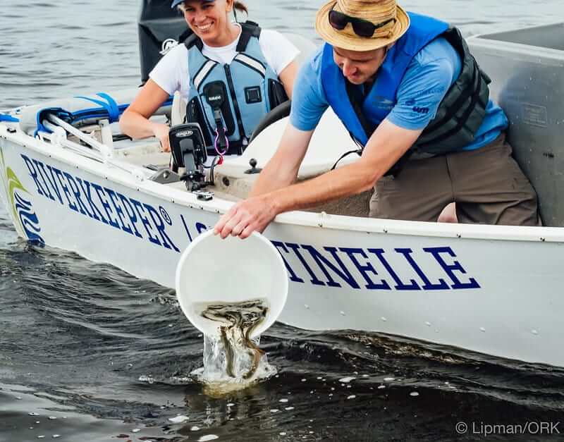 FAQs on the Carillon Dam and the American eel - Ottawa Riverkeeper ...
