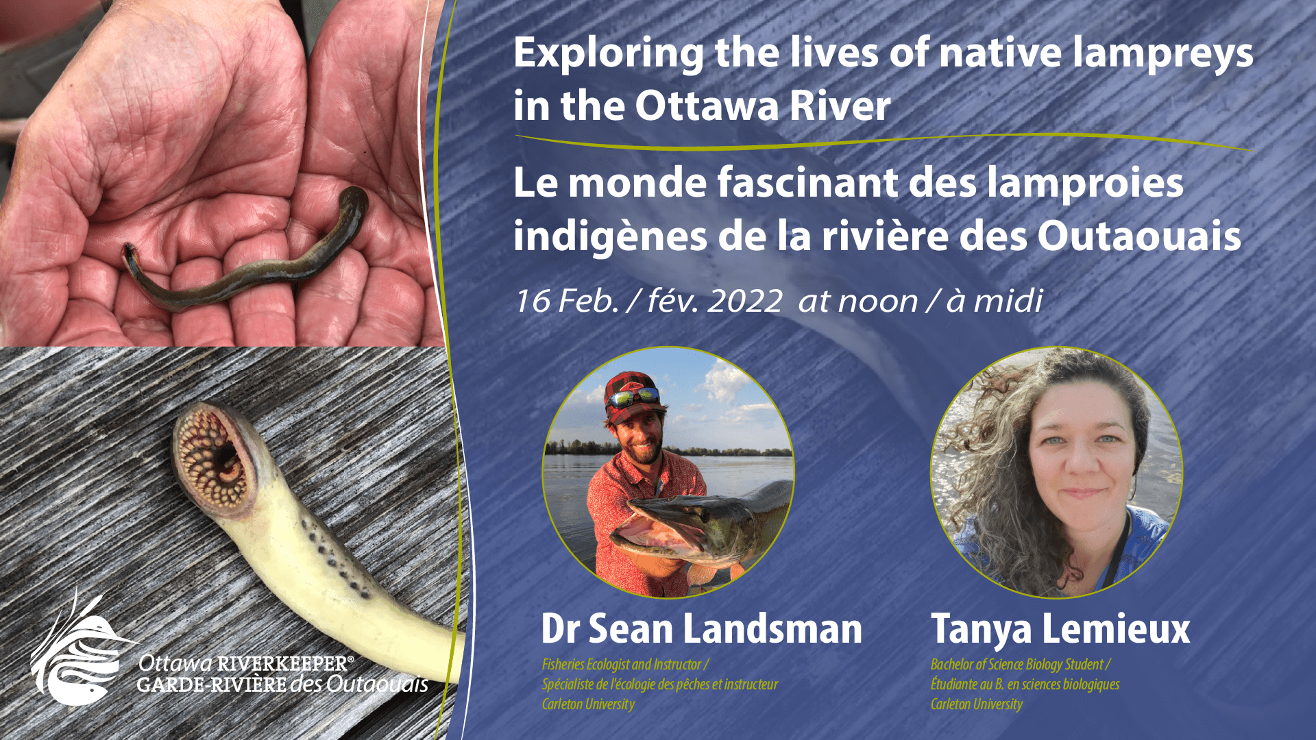 Exploring the lives of native lampreys in the Ottawa River - February ...