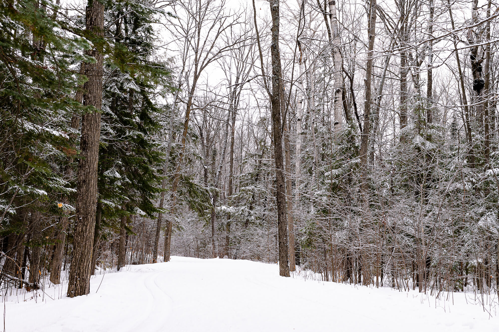 Discovering the Ottawa River Watershed through Wildlife Photography ...