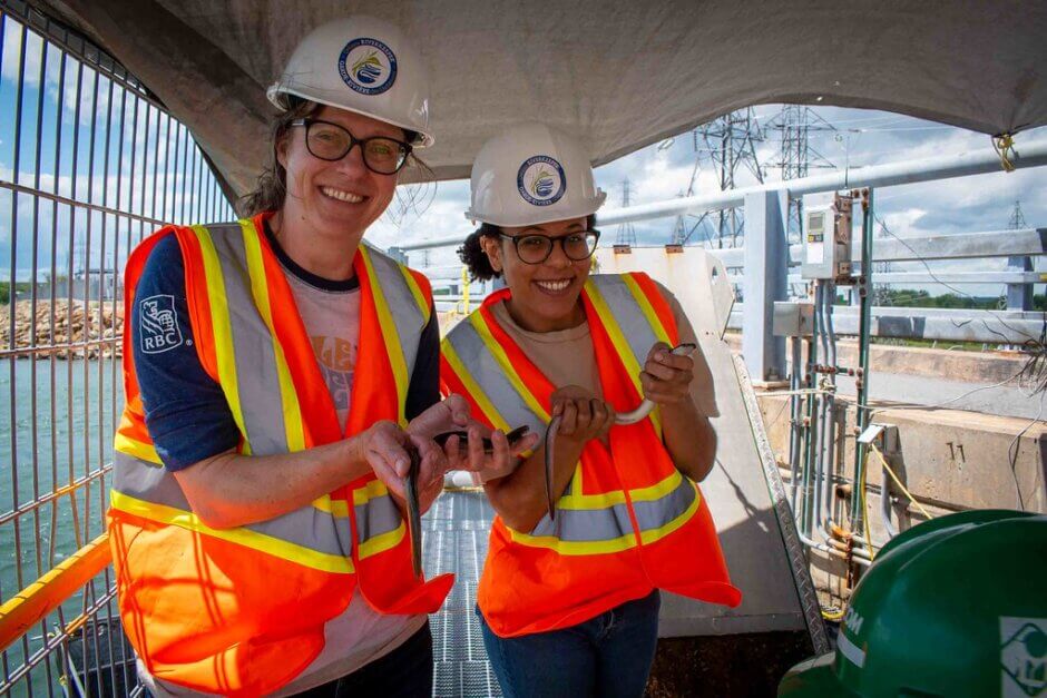 The Carillon Dam needs an eel ladder - Ottawa Riverkeeper | Garde ...